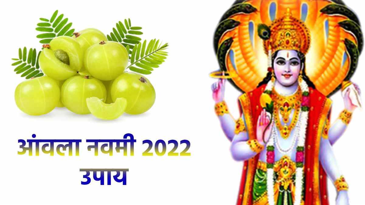 Amla Navami 2022 Upay: आंवला नवमी पर करें ये उपाय, घर में कभी नहीं होगी ...
