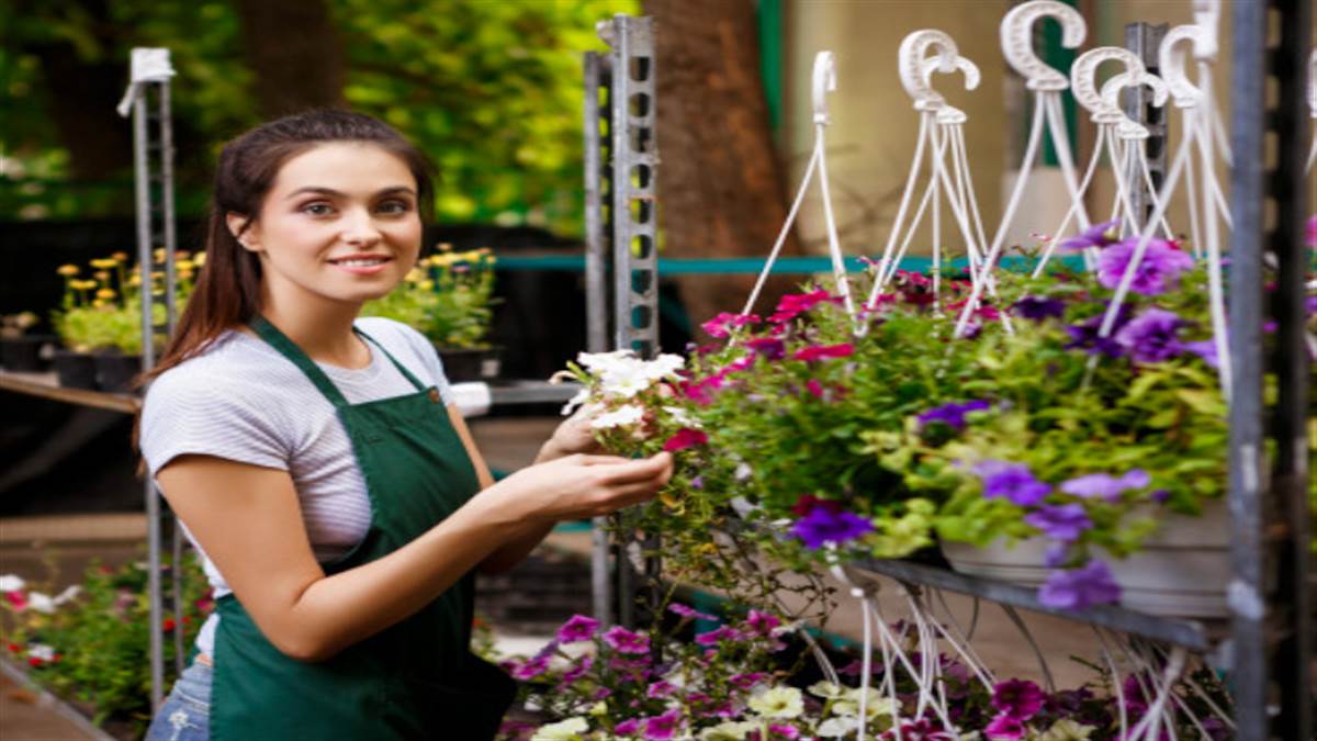 Winter Gardening Tips: सर्दियों में इन फूल-पौधों से बनाएं अपने गार्डन को खूबसूरत और हरा-भरा ...