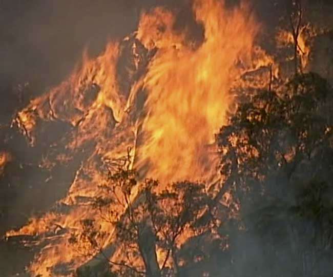 Australia Fire : आस्ट्रेलिया के जंगलों में लगी आग, 4000 लोग फंसे ...