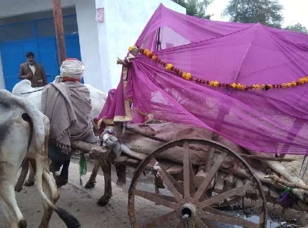 20 साल का था साथ, गो-लोक को चली तो फिर क्यों रोयी हर आंख - everyone cry ...