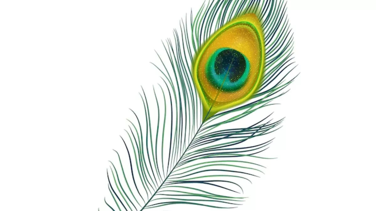 Morpankh Vastu Tips: मोरपंख को घर में रखने से रिश्ते होंगे मजबूत, और ...