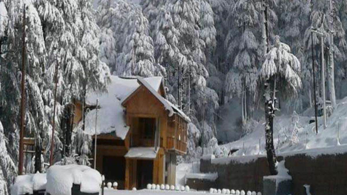 Udhampur News: पत्नीटाप को दुल्हन की तरह सजाया, विंटर बोनांजा में आज ...