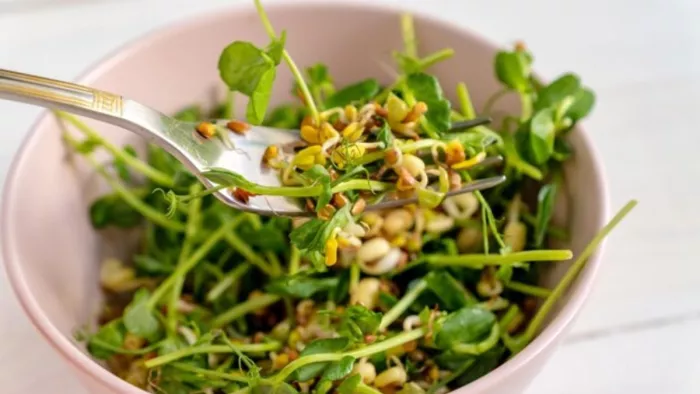 ब्रेकफास्ट में शामिल करें 7 तरह के Sprouts, दिनभर रहेंगे एनर्जेटिक और ...