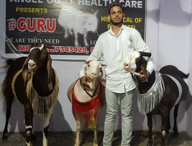 खजूर शेक पीकर, मेवा खाकर और एसी में रहकर बड़ा हुआ रंगीला, कुर्बानी की ...