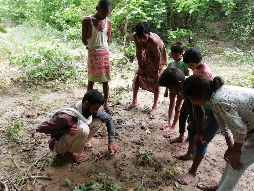 प्रतापगढ के कठार गांव में तेंदुआ दिखने से ग्रामीणों में दहशत Prayagraj ...