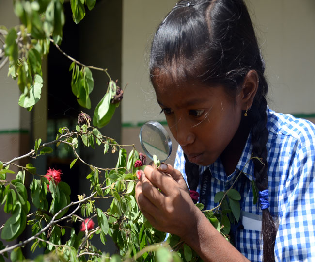 मैथ समझने का यह है सबसे मजेदार तरीका, अपने बच्चे को ऐसे पढ़ाएं - panini ...