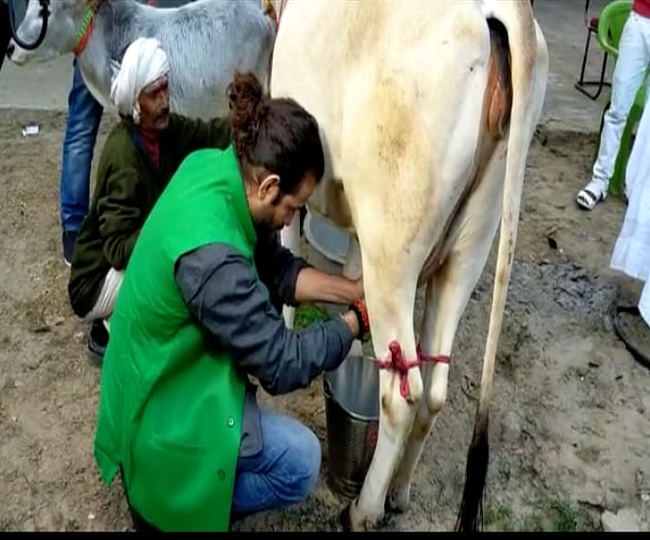 Video Viral: अब लालू के लाल तेजप्रताप ने किया एेसा काम, कहा-पापा से ...