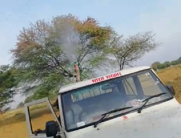 Tiddi Dal Attack: बांदा में केंद्रीय टीम ने मार गिराईं लाखों टिड्डियां ...