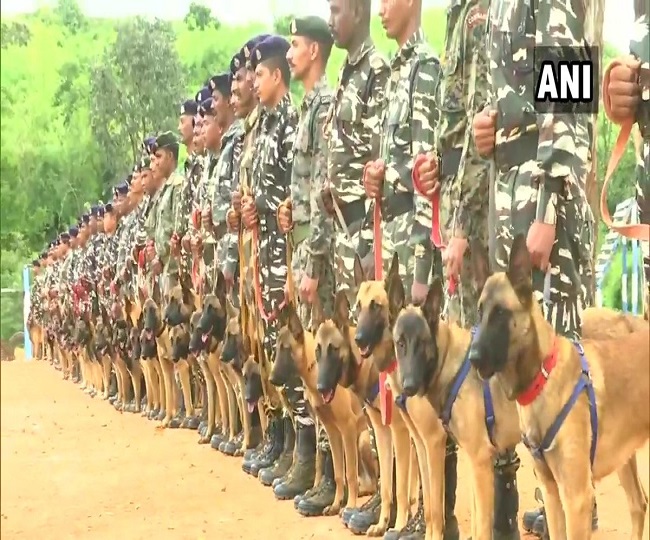 CRPF में शामिल होने के लिए कुत्तों को करना पड़ता है कठिन परिश्रम, देखें ...