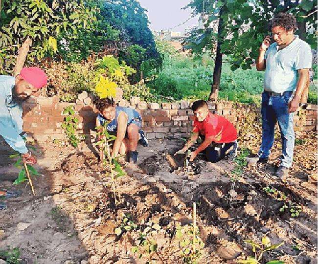 पर्यावरण संरक्षण की अनूठी मुहिम: लुधियाना के IRS अधिकारी राेहित मेहरा ...