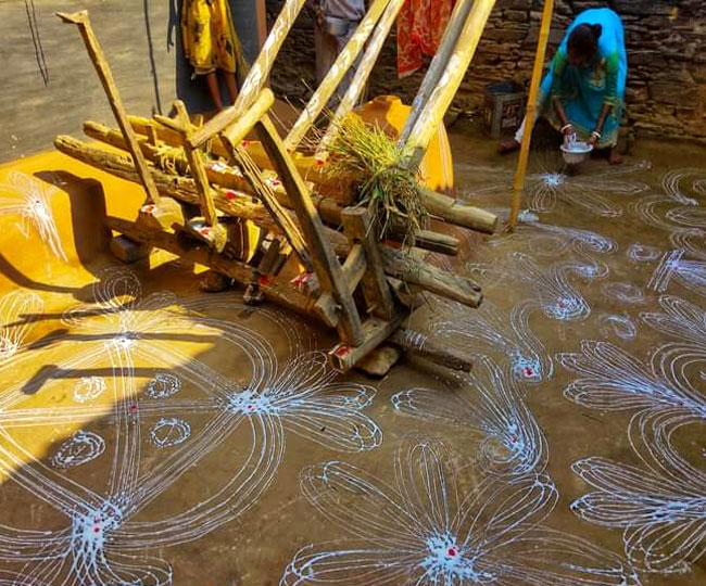 पशुधन की महत्ता बताता है बांदना पर्व, झारखंड के आदिवासी समाज के लिए है ...