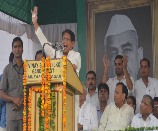 Ajit Singh स्मृति शेष : सात बार बागपत से सांसद बने चौधरी अजित सिंह ...