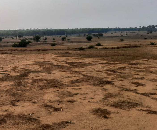 मिल गया खजाना: जमुई की जमीन में दबा है सोने का भंडार, केंद्रीय मंत्री ...