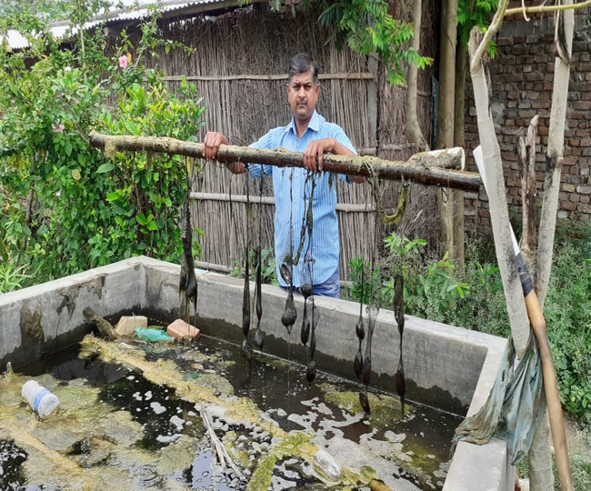 समस्तीपुर में मोती उत्पादन ने चमकाई दो युवाओं की किस्मत, कोरोना काल में ...