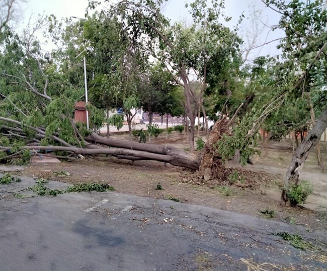 Panipat Weather Update : यास से बदला पानीपत में मौसम का मिजाज, आंधी और ...