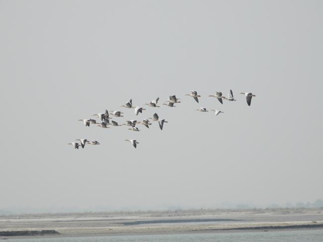 World Photography Day: ये हैं अंग प्रदेश भागलपुर की टॉप-25 तस्वीरें ...