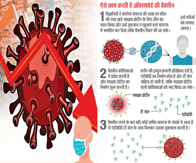 Covishield Vaccine: जानिए किस तरह काम करेगी कोविशील्ड वैक्सीन, कितने ...