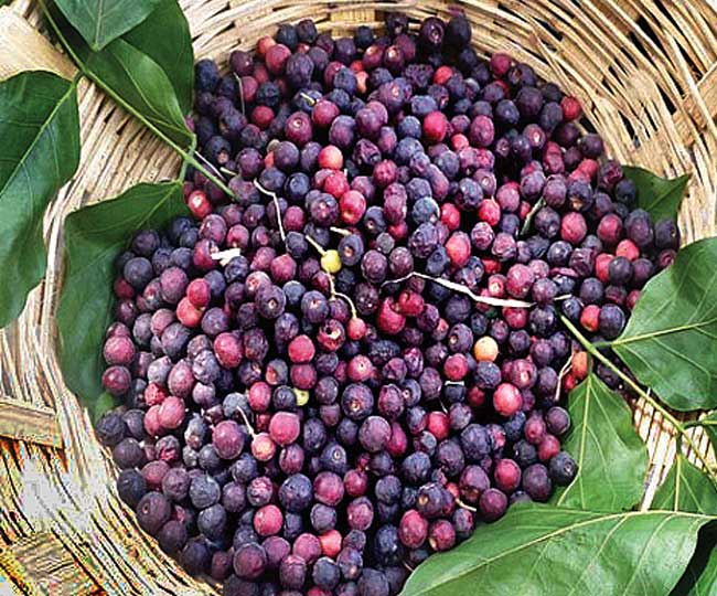 Health Benefits Of Falsa Fruit jagran special - Health Benefits Of ...