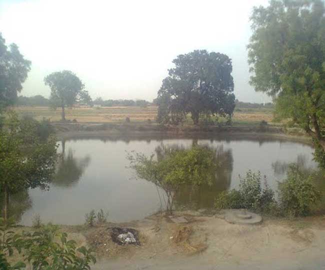 धरती की ‘गागर’ भरी, लहलहाईं खुशियां, जल संरक्षण की नजीर बना ये गांव ...