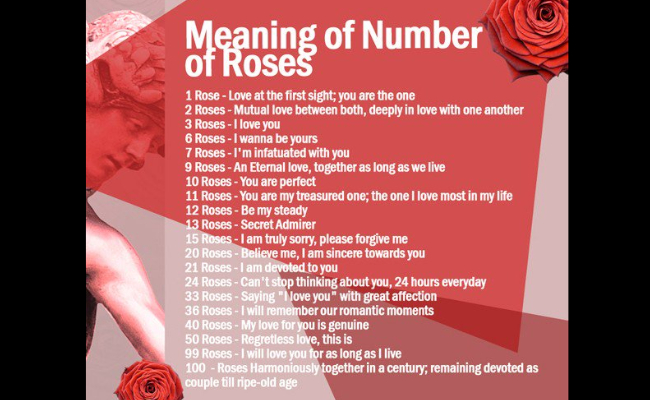Happy Rose day 2019: सिर्फ रंग ही नहीं गुलाब के कितने फूल दें, इसके ...