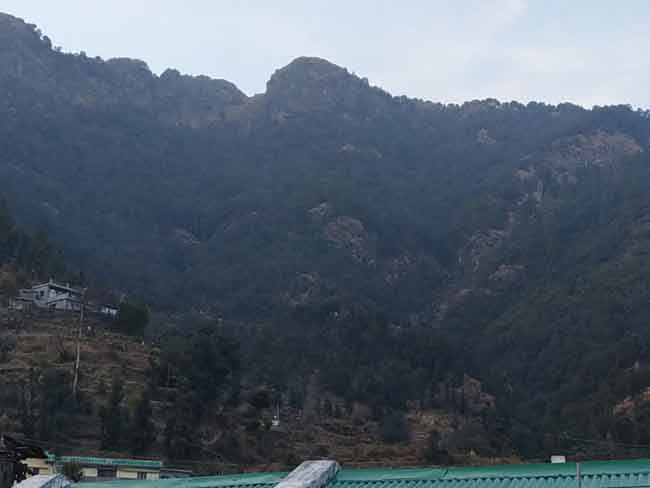 बड़े भाई की मौत के बाद हुई धुन सवार; उगा दिया जंगल, जानिए - Vishweshwar ...