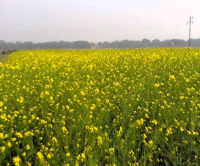 अर्थव्यवस्था में सुधार, फिर भी बड़ी कठिन है डगर - Improvement in ...