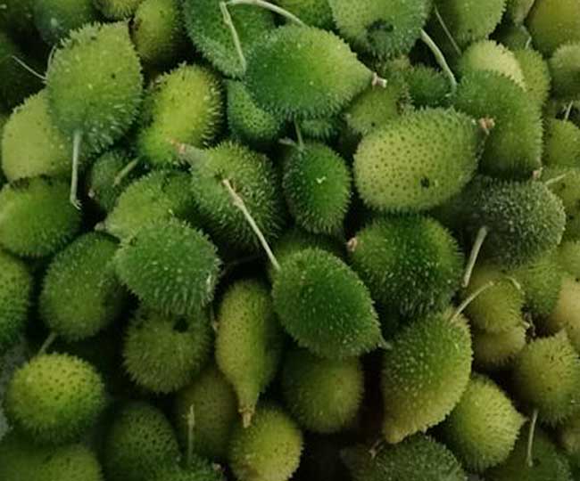 मानसून के मौसम की सबसे ताकतवर सब्जी है ये, खाएंगे तो कभी नहीं होंगी ये ...