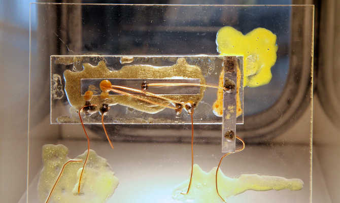 Jack Kilby Integrated Circuit Jack Kilby Scientist Of The Day