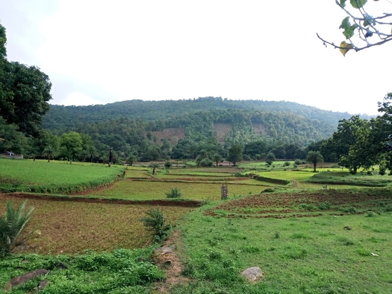 Bastar Village : बारिश में दुनिया से कट जाता है चार पहाड़ियों के बीच ...