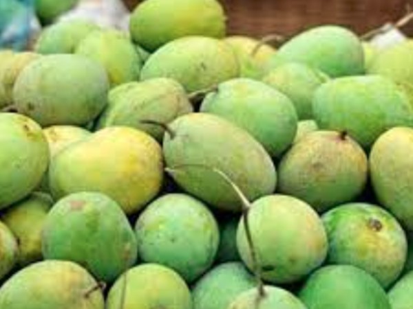ये हैं आम की खास 15 किस्में, जानिए किस तरह करें इनकी पहचान