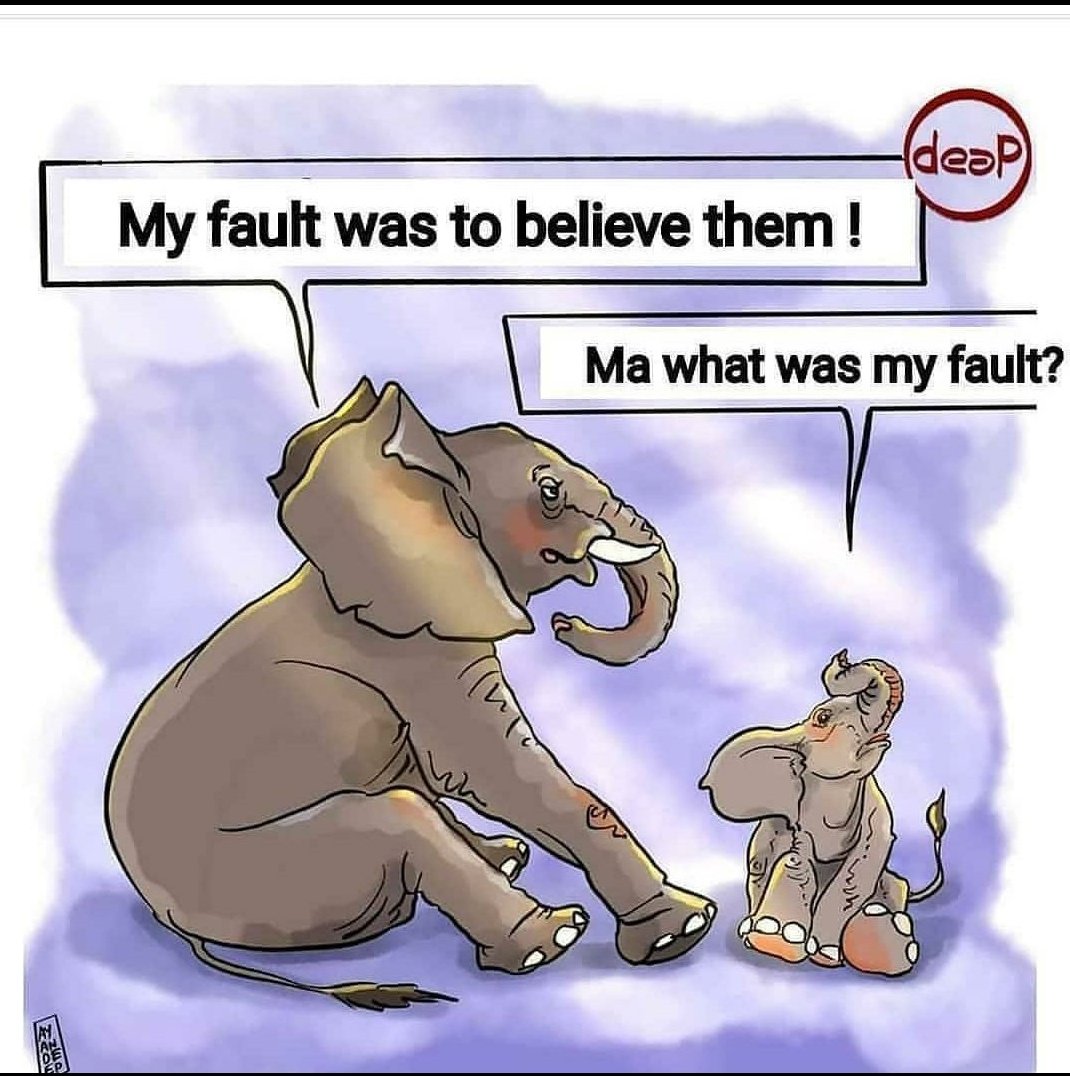 Elephant Death in Kerala : गर्भवती हथिनी से हुई बर्बरता पर भड़के Ratan ...