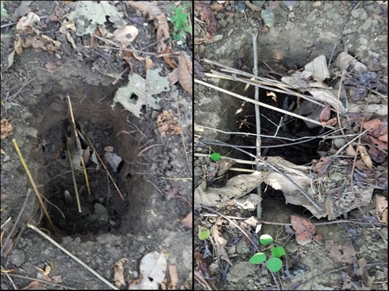 नक्सलियों के स्पाइक होल में फंसकर दो कोबरा जवान जख्मी