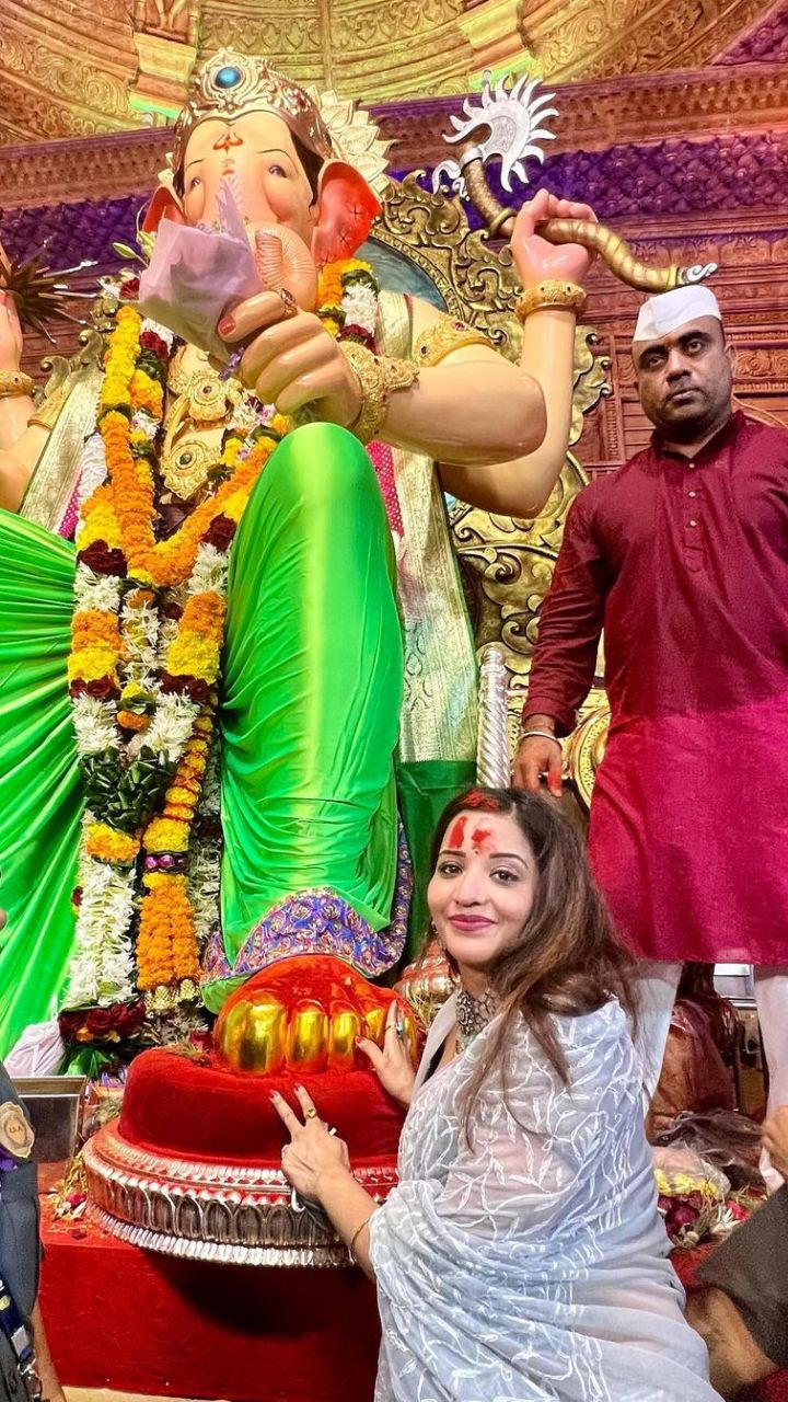 These stars reached to apply to the king of Lal Bagh