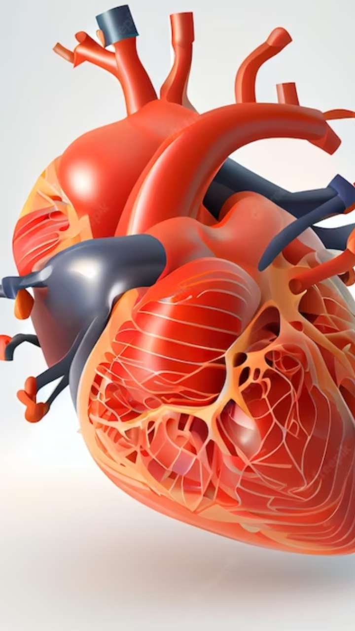 Foods that are harmful for heart