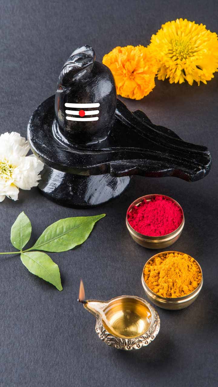Sawan 2022 Flowers To Worship Lord Shiva According To Shivpuran