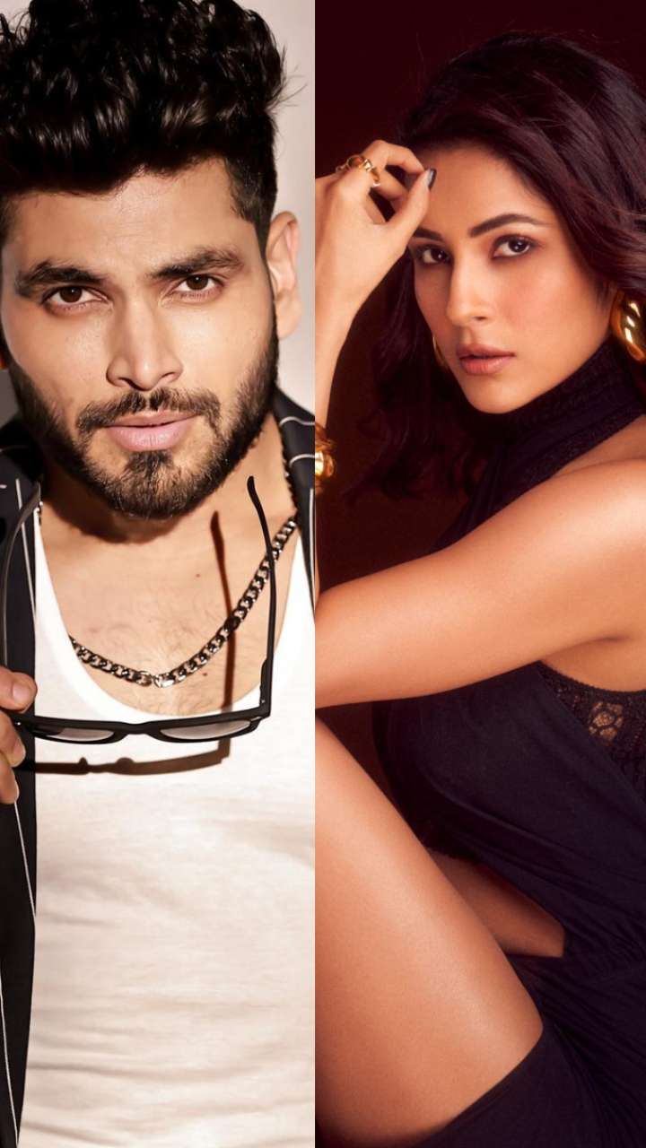 Bigg Boss से बाहर आते ही चमकी इन स्टार्स की किस्मत | Bigg Boss Ex ...