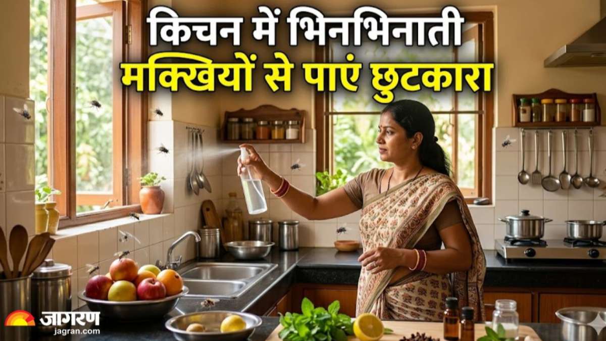 How to Get Rid of Kitchen Flies 5 Budget Friendly DIY Remedies That ...
